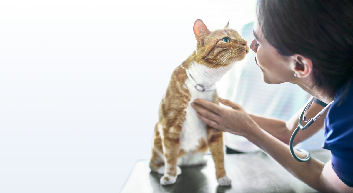 Hill's-Colgate (Japan) Ltd.